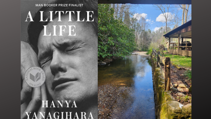 Rating the Male Characters in A Little Life – ARayOfDawn